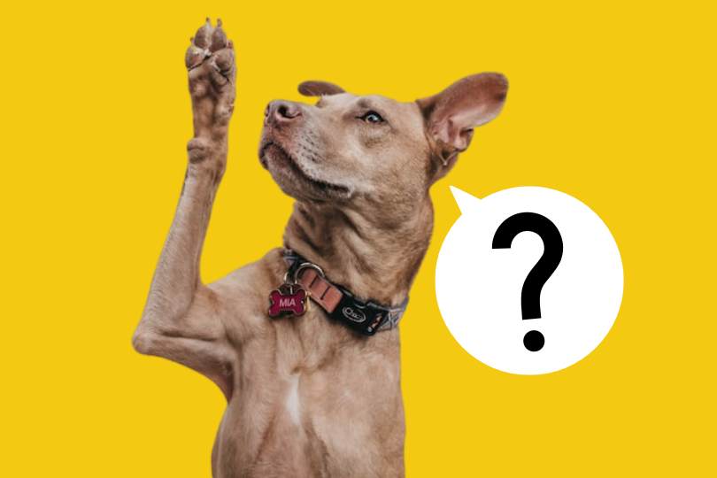 Más ProfedeELE - Inicio